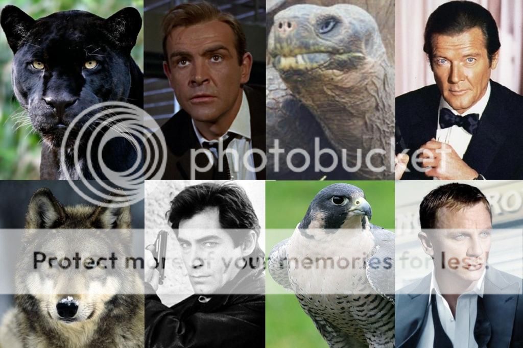 If Connery 'moved like a Panther', what animals do the other actors ...