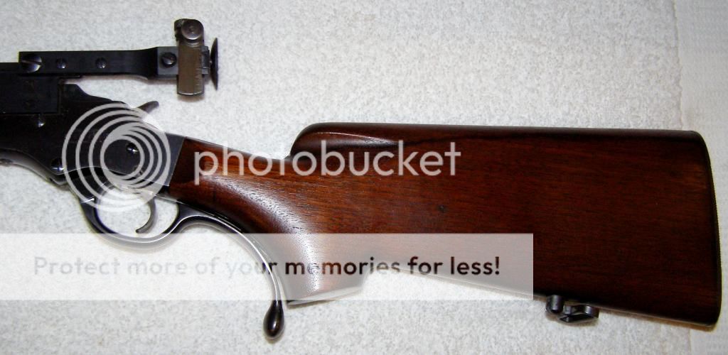 Stevens 417 Walnut Hill | Rimfire Central Firearm Forum